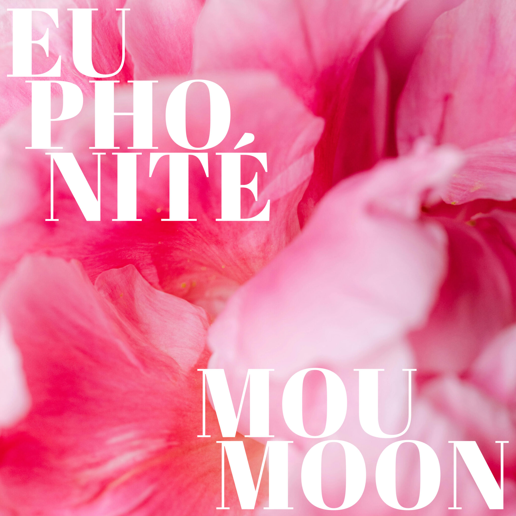 NEWS – moumoon Official Web Site